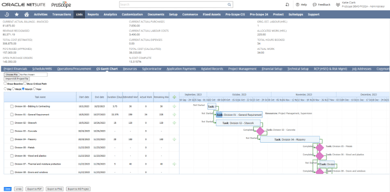 Geolocation Module in NetSuite | ProScope